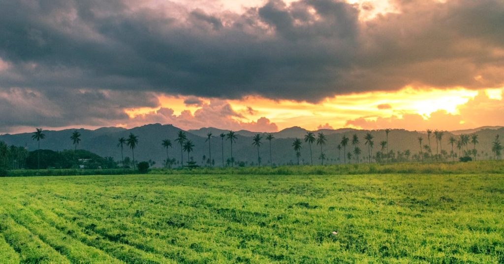 Philippine Land Use Conversion From Agriculture To Real Estate Philippine Land Use Conversion From Agriculture To Real Estate